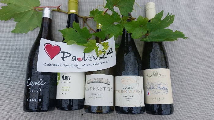 Procházka s degustací :: pavlov24